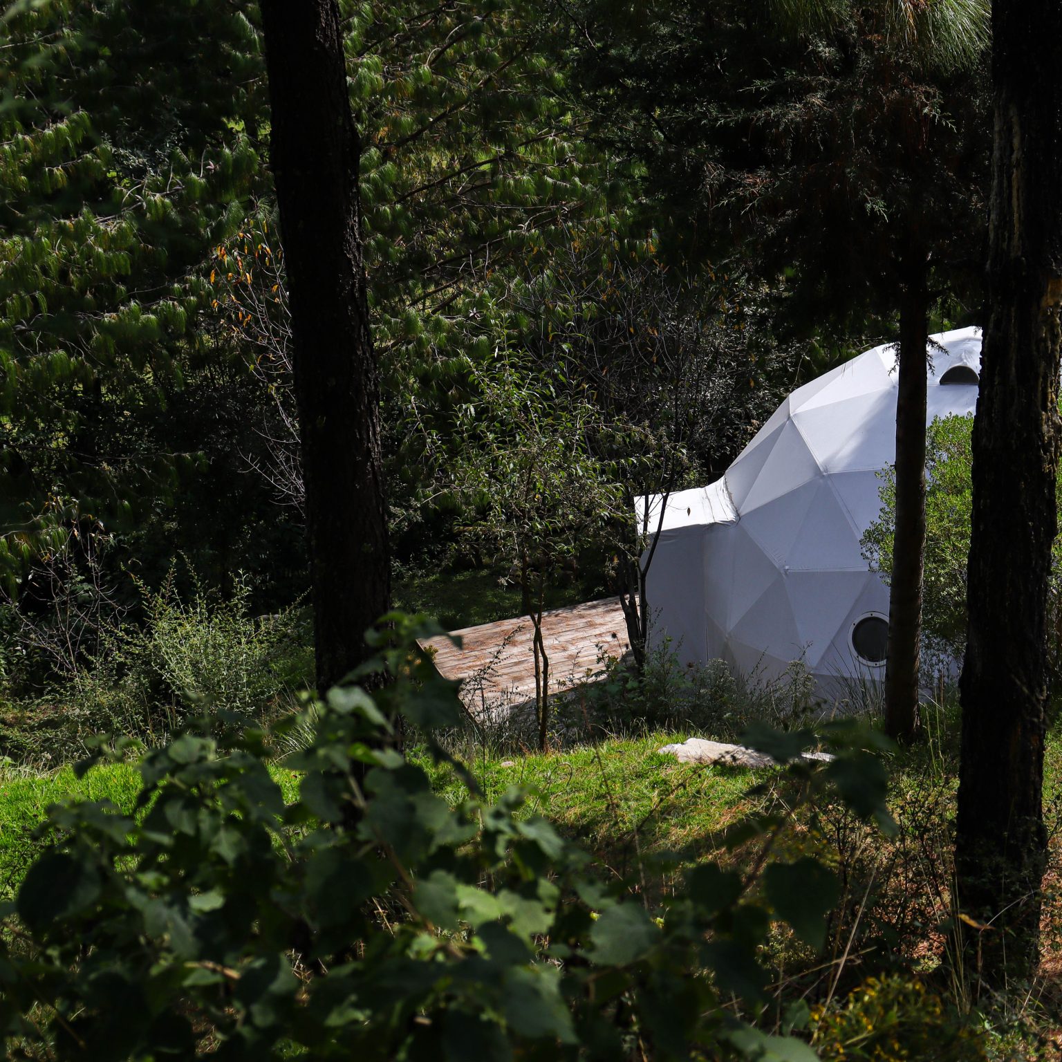 Sede Bernal – Cool Glamping